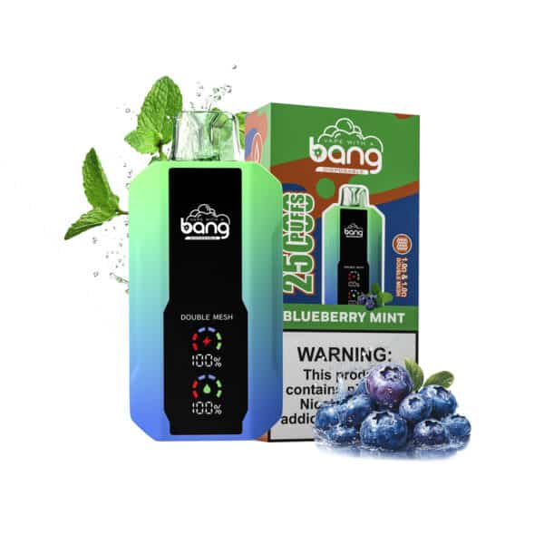 Blueberry Mint Bang Vape 25000 Puffs 25k - Stars Vape